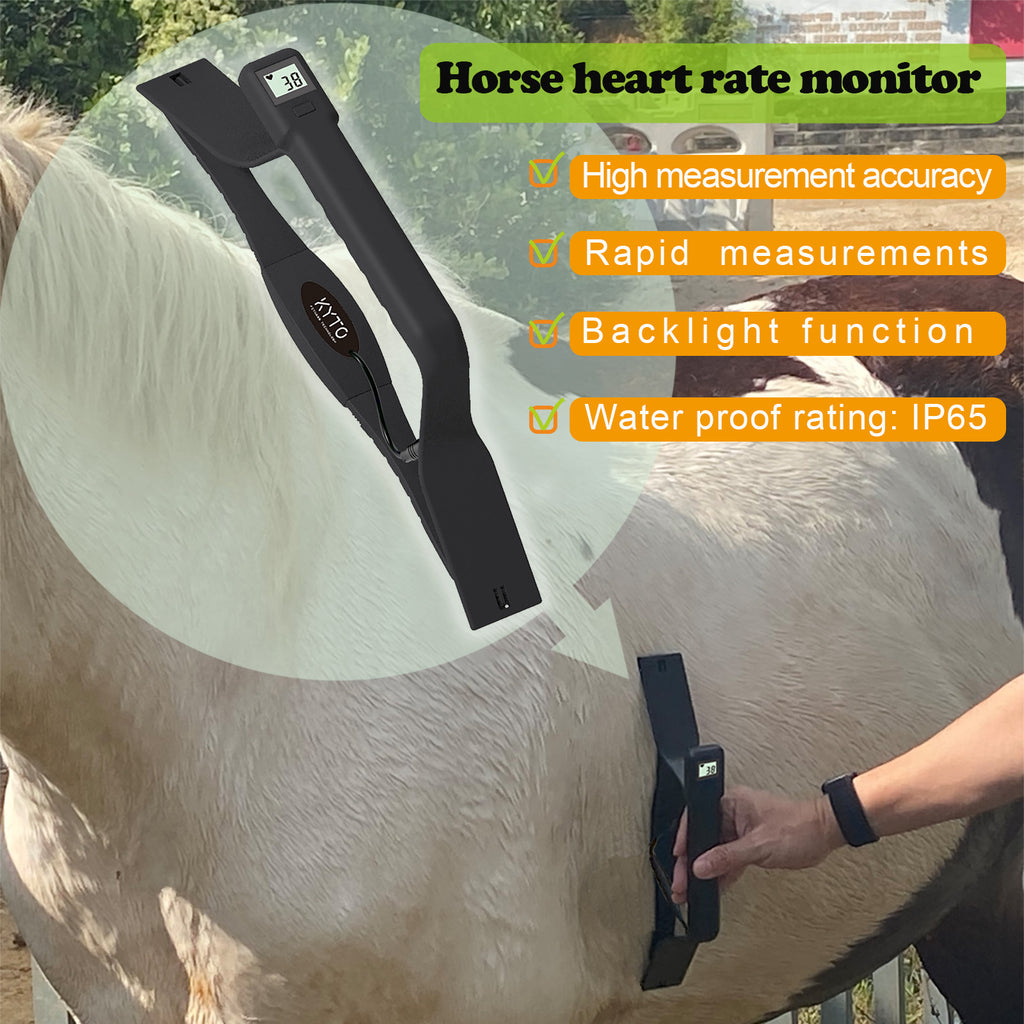 Horse Heart Rate Sensor Monitor Rapid measurement with Backlight LCD W ...